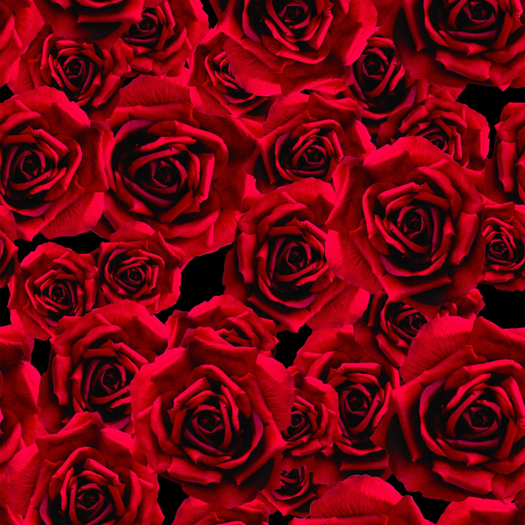 Shop | Circa Wallcoverings